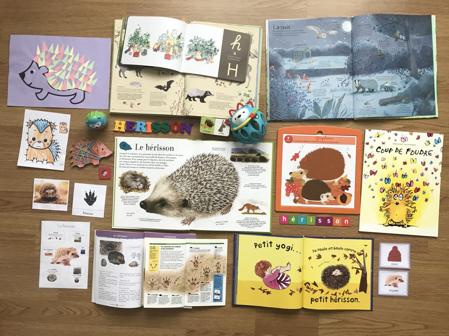 🔎LE HÉRISSON 🦔 – Cabane de Fleur