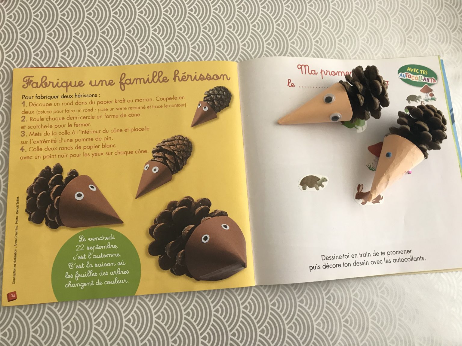 LE HÉRISSON – Cabane de Fleur