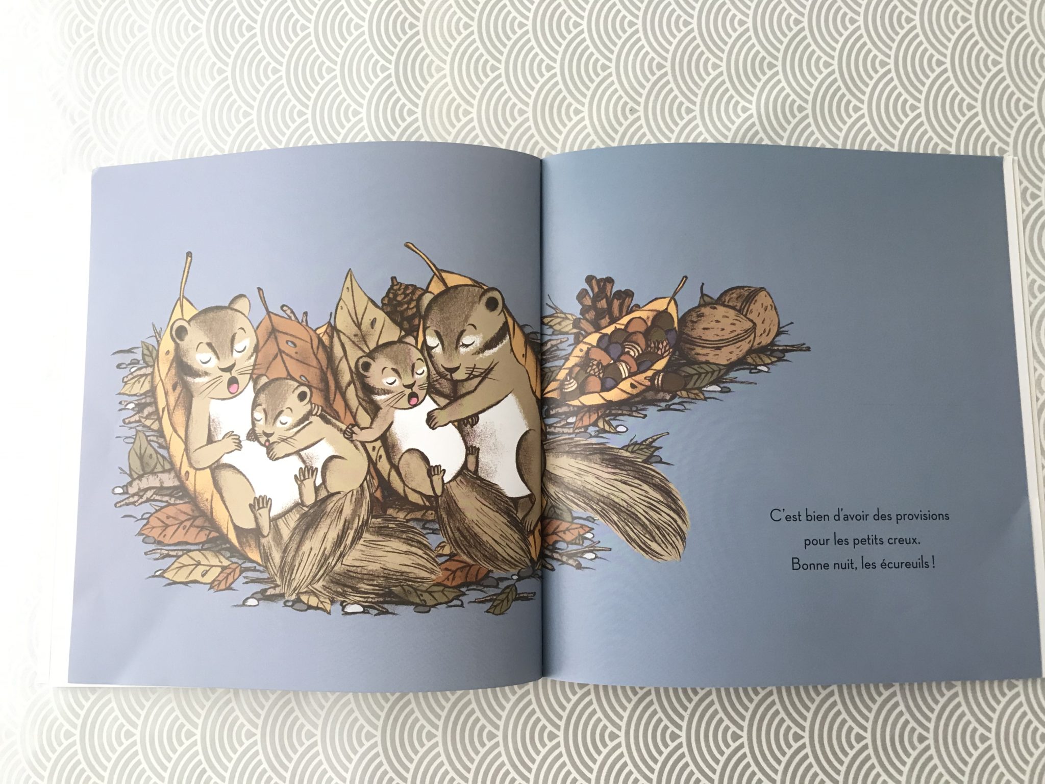 🔎L’ÉCUREUIL 🐿 – Cabane de Fleur