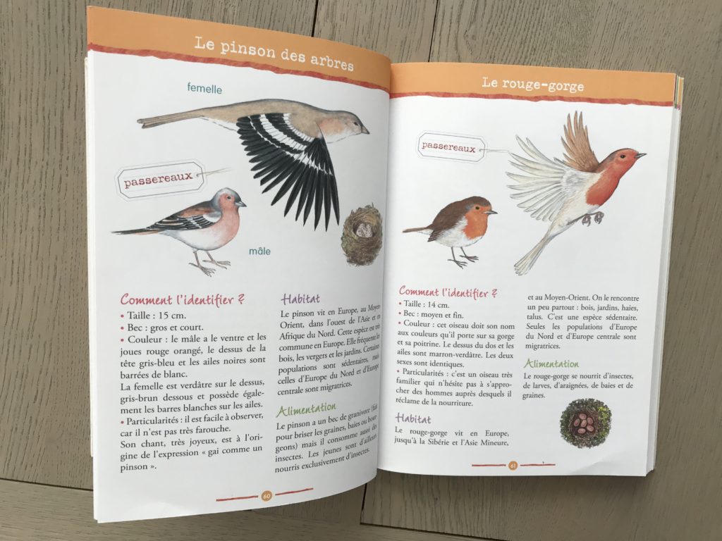 🔎LES OISEAUX 🐦 – Cabane de Fleur