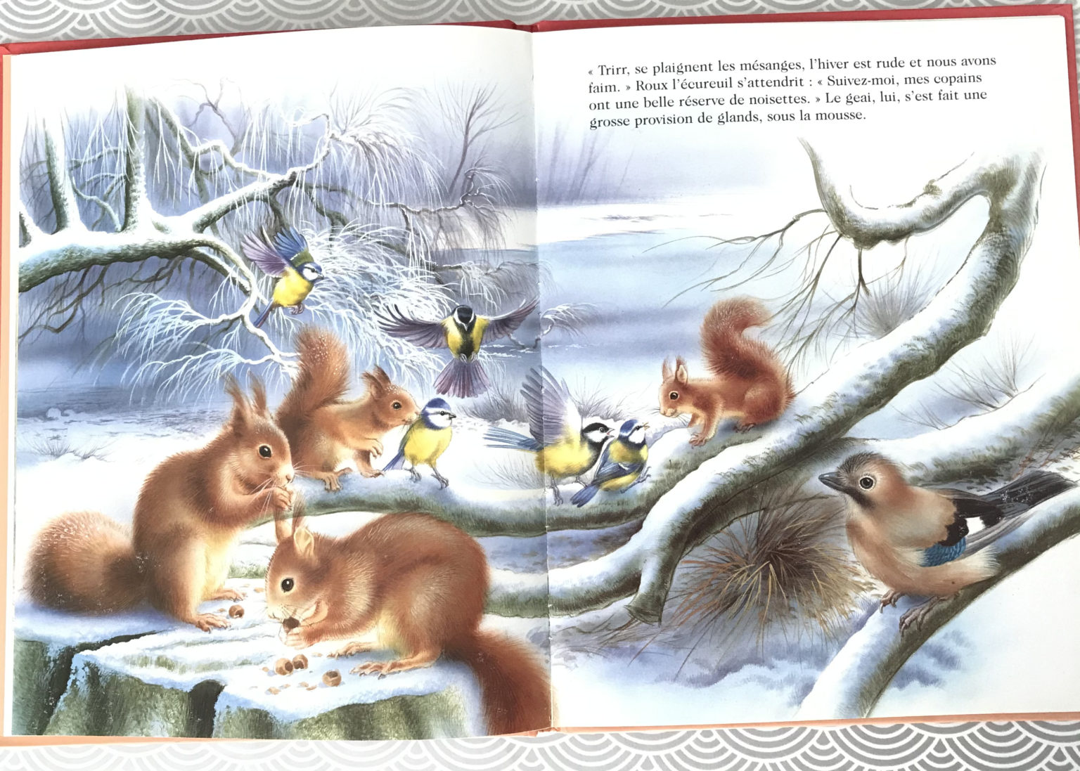 🔎L’ÉCUREUIL 🐿 – Cabane de Fleur