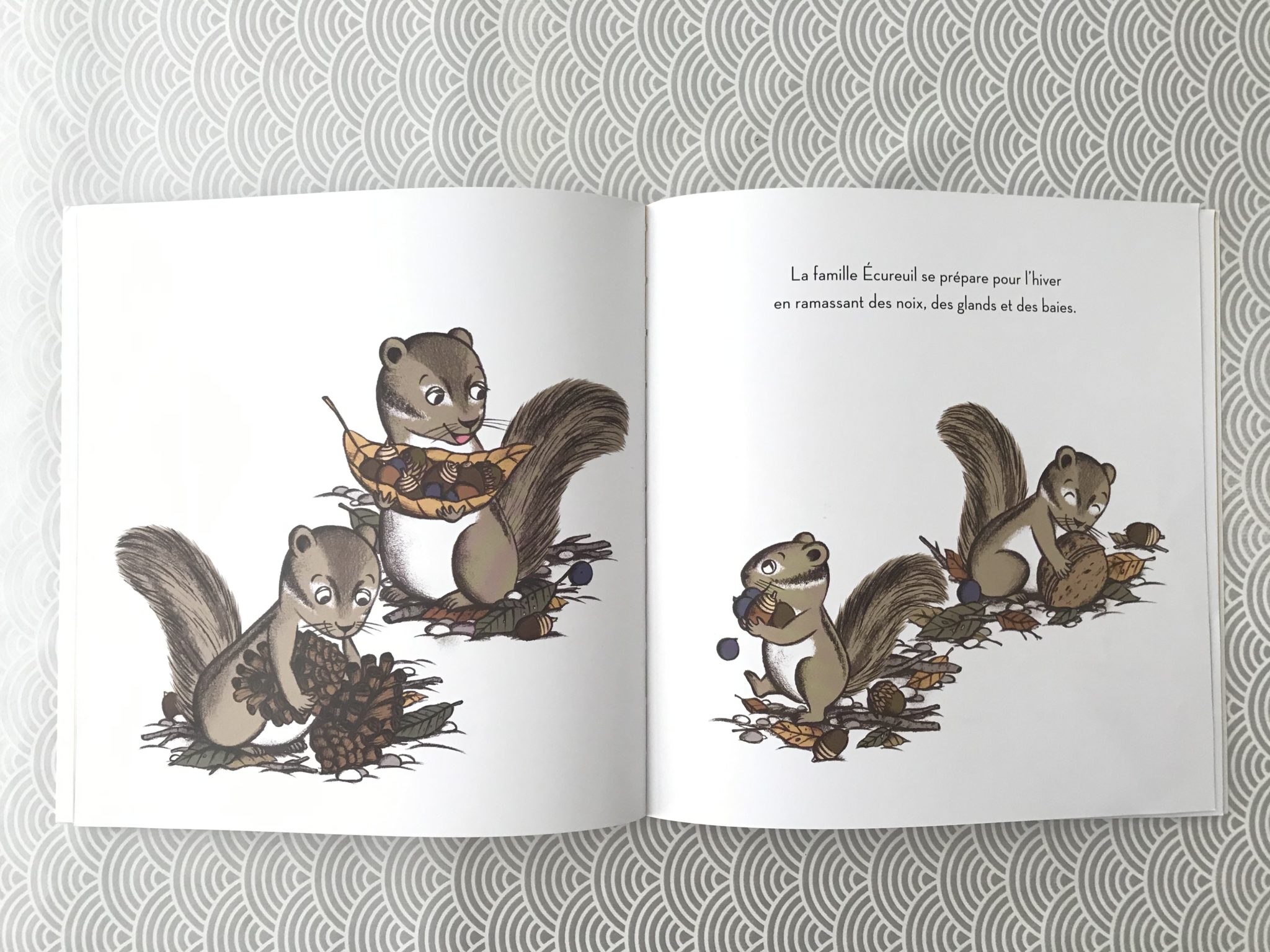 🔎L’ÉCUREUIL 🐿 – Cabane de Fleur