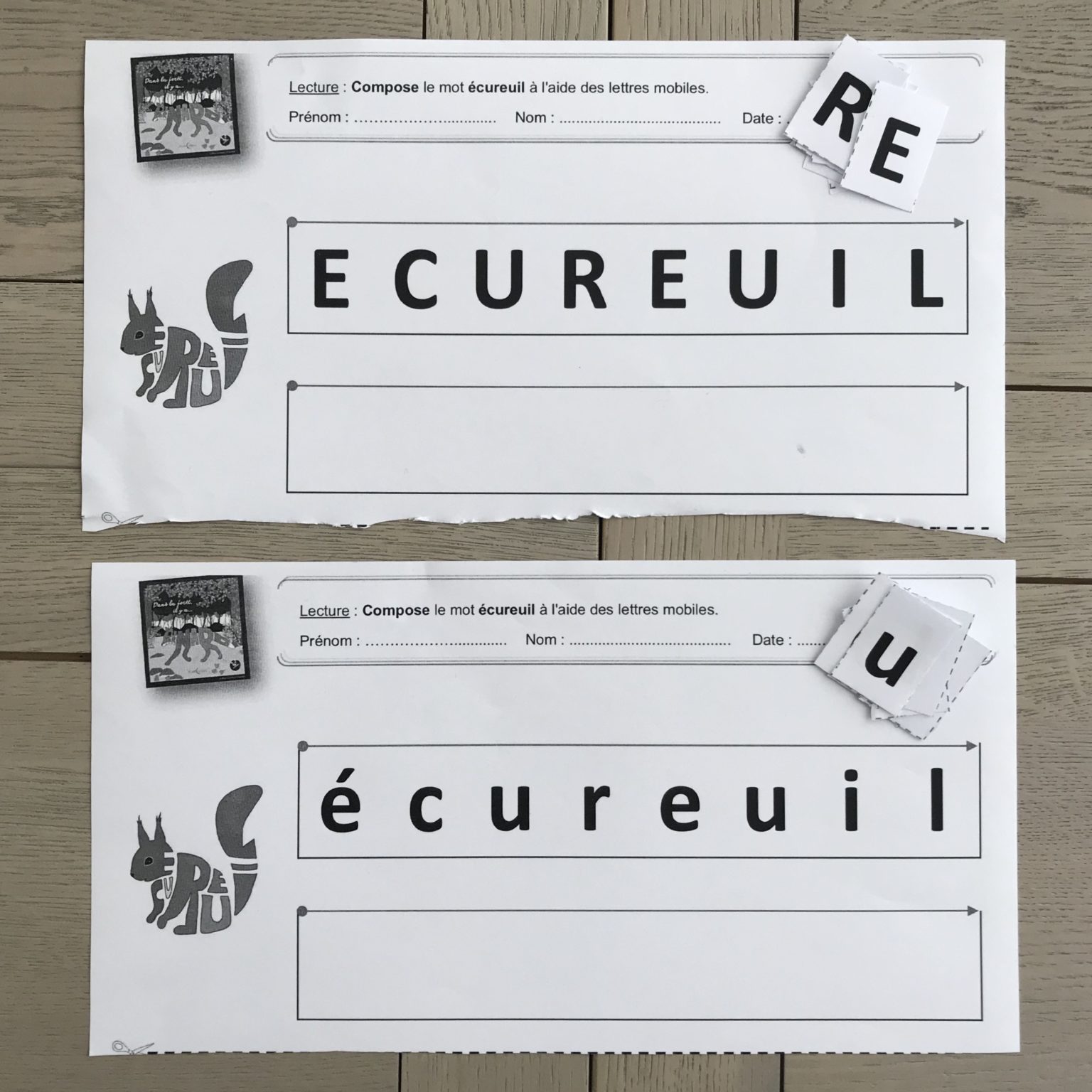 L’ÉCUREUIL – Cabane de Fleur