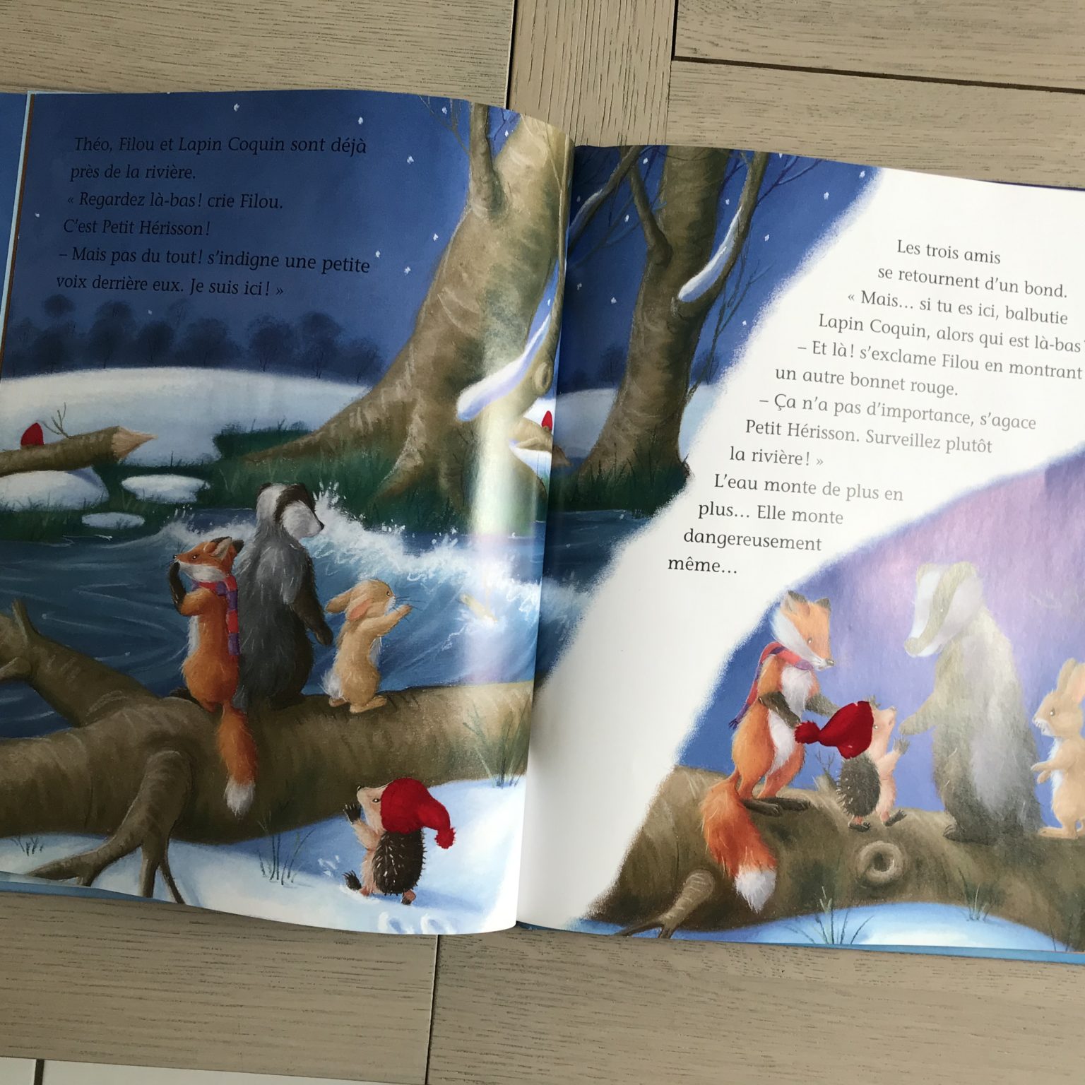 LE HÉRISSON – Cabane de Fleur