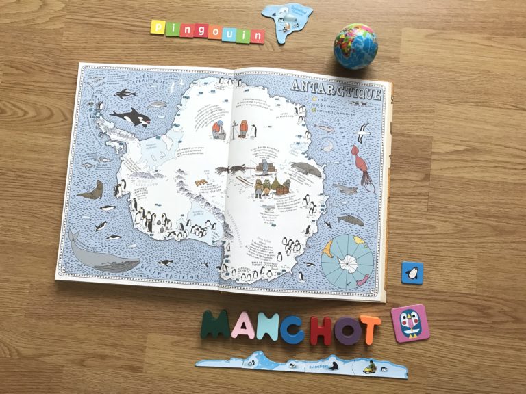 🔎LE MANCHOT ET LE PINGOUIN 🐧 – Cabane de Fleur