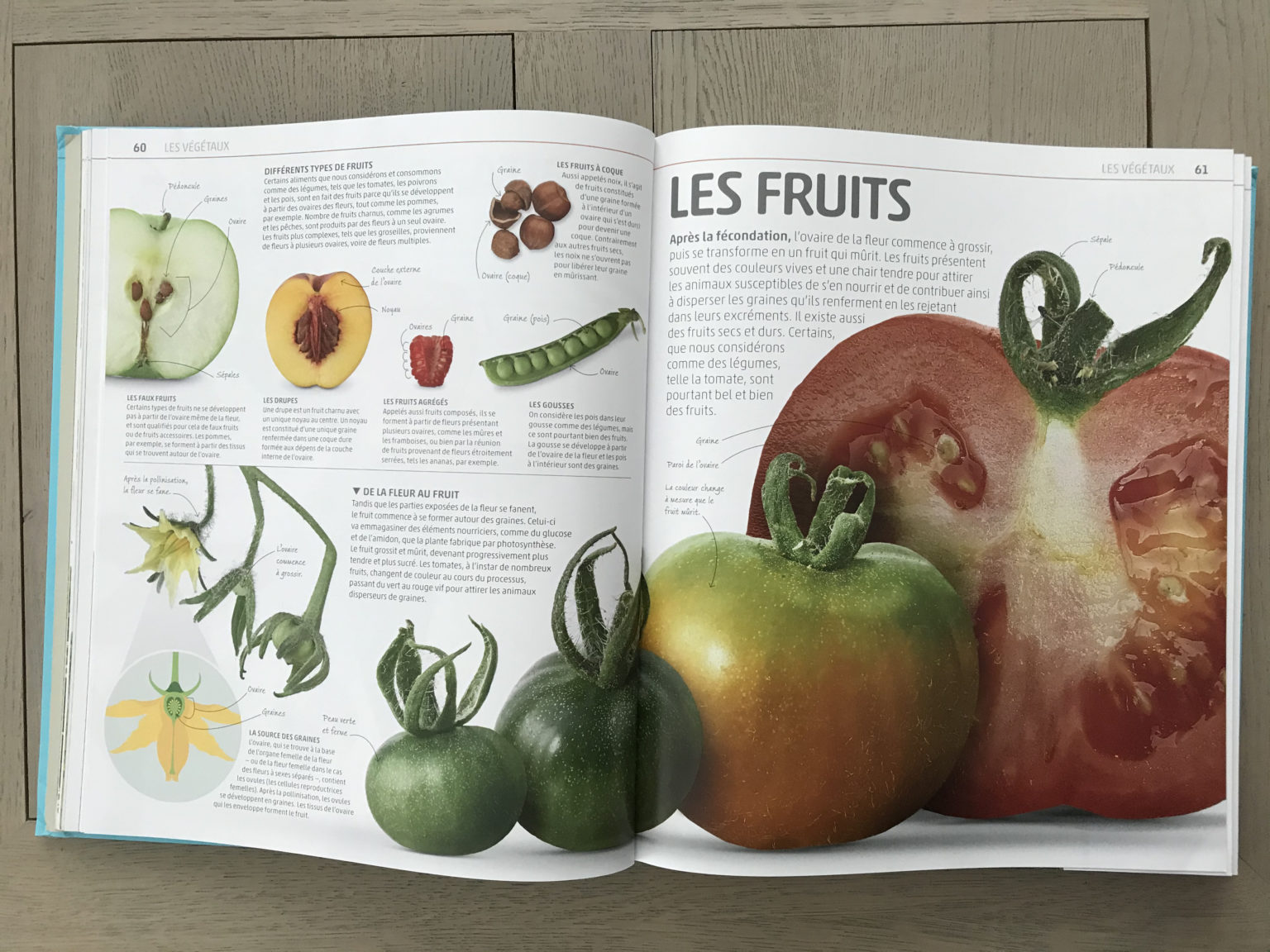 🔎LES FRUITS ET LÉGUMES 🍅 – Cabane de Fleur
