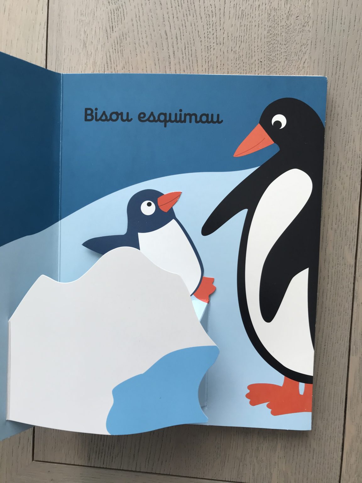 LE MANCHOT ET LE PINGOUIN – Cabane de Fleur