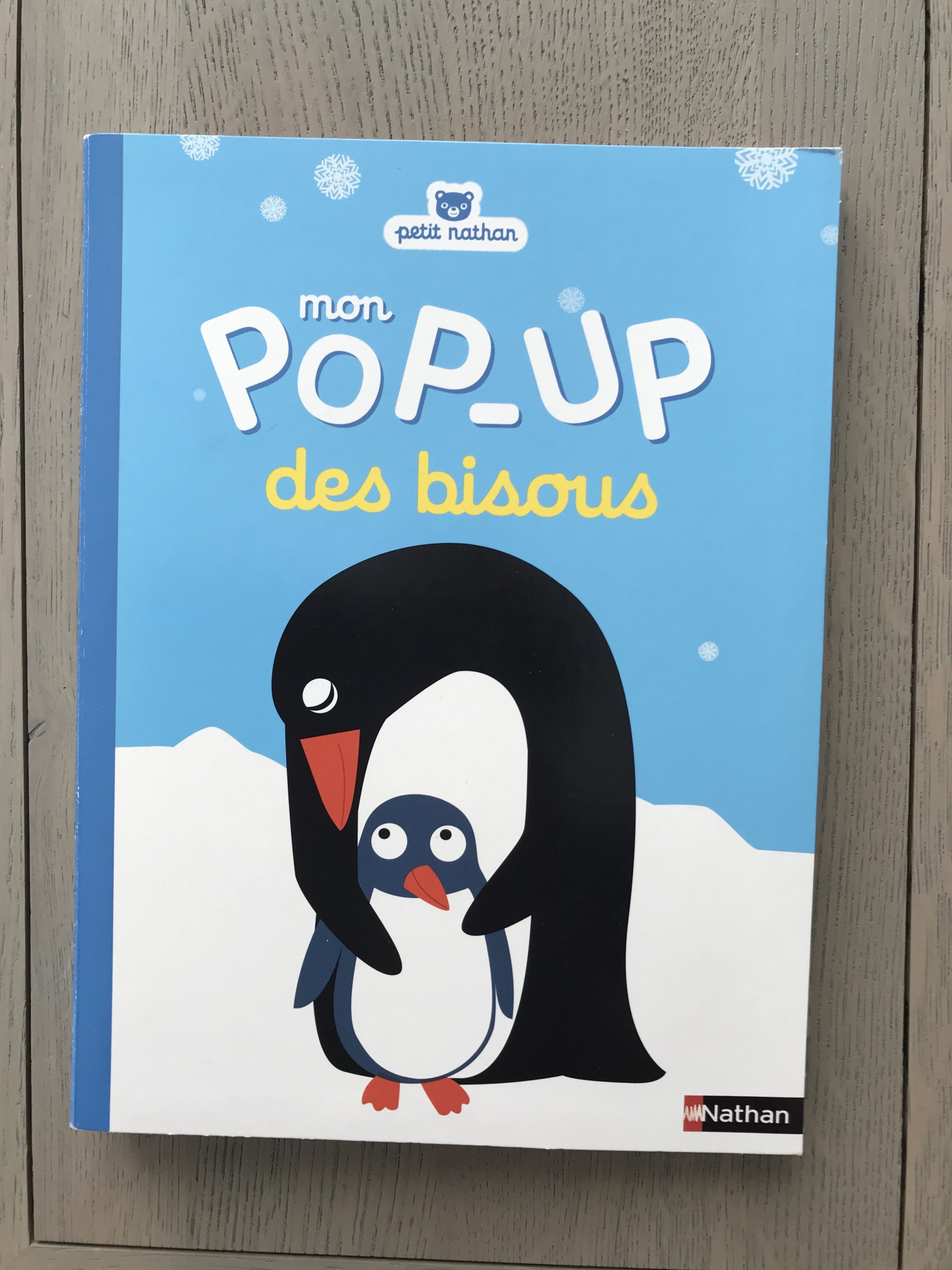 LE MANCHOT ET LE PINGOUIN – Cabane de Fleur