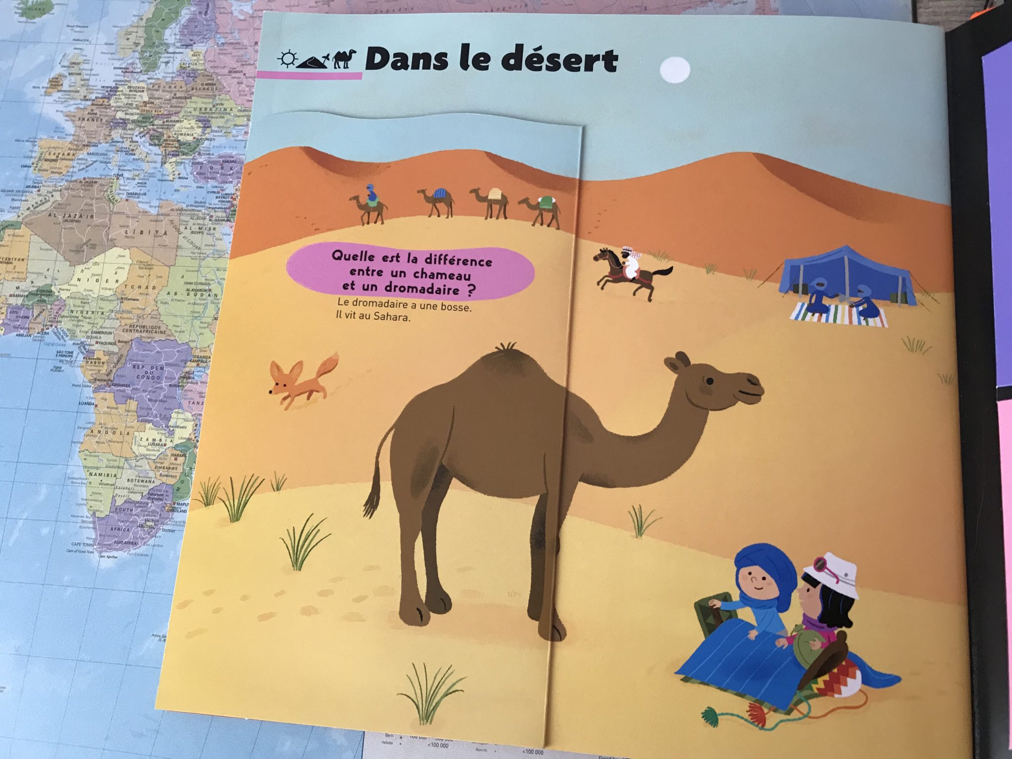 LE DÉSERT – Cabane de Fleur