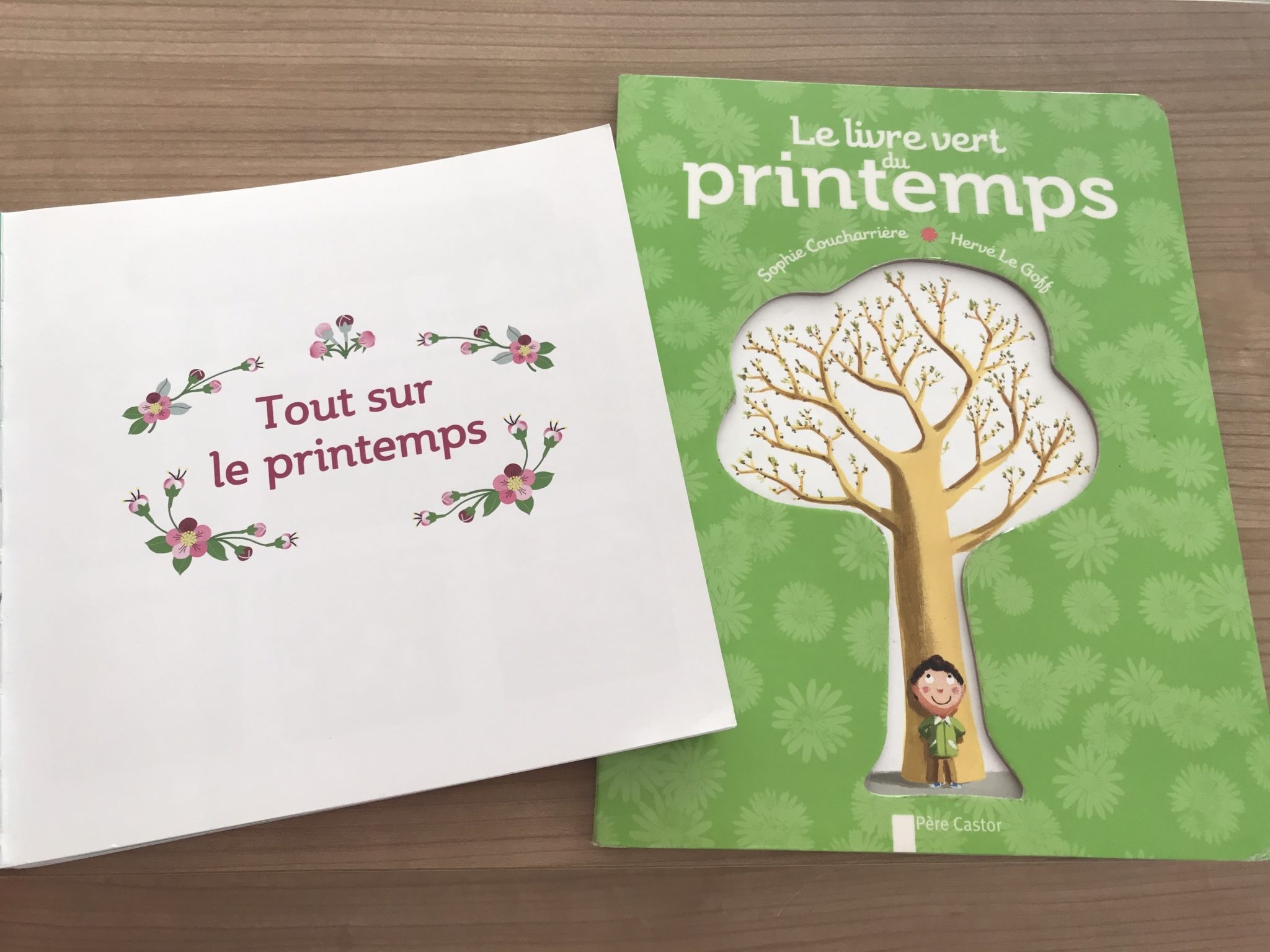 LE PRINTEMPS – Cabane de Fleur