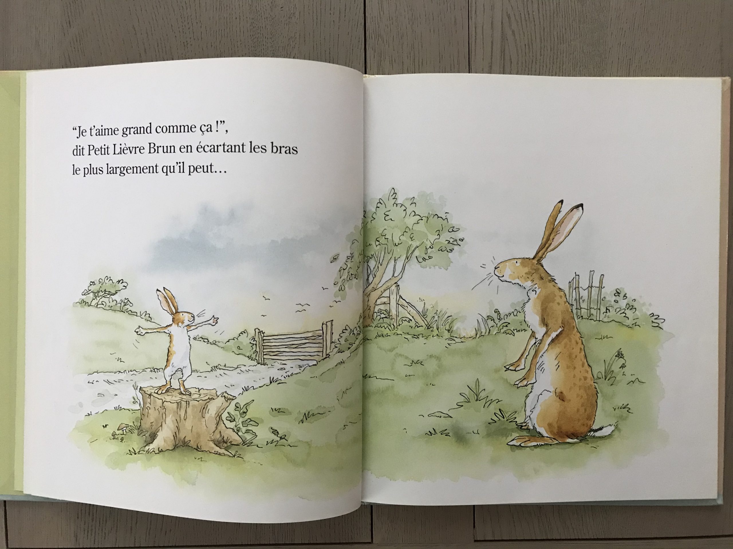 LE LAPIN – Cabane de Fleur