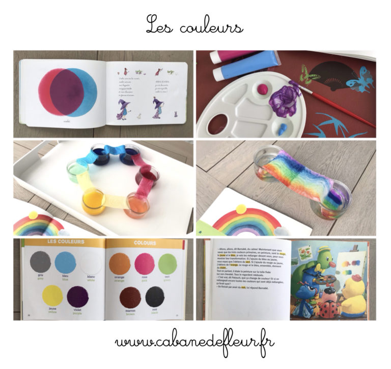 🔎LES COULEURS – Cabane de Fleur