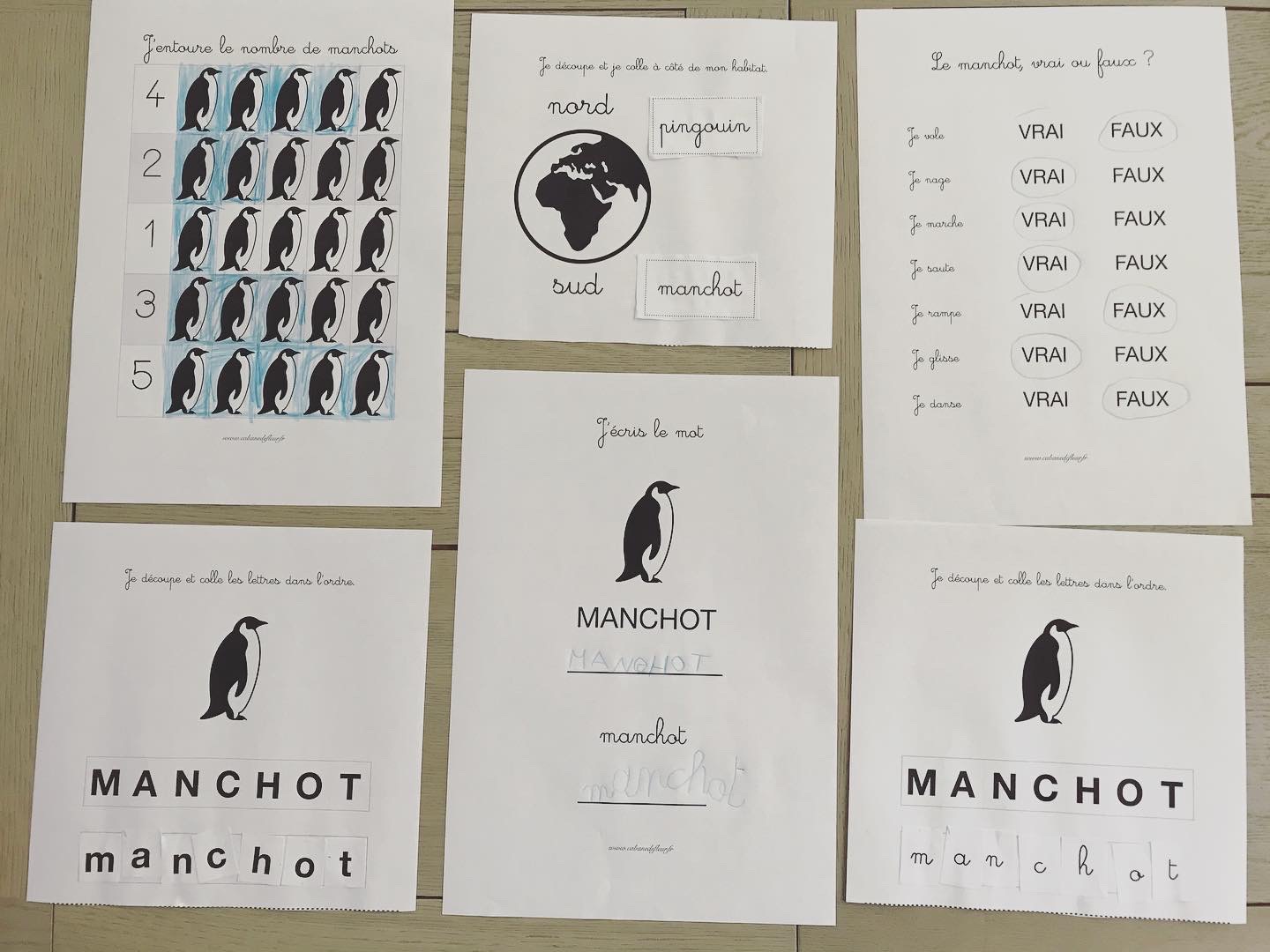 LE MANCHOT ET LE PINGOUIN – Cabane de Fleur