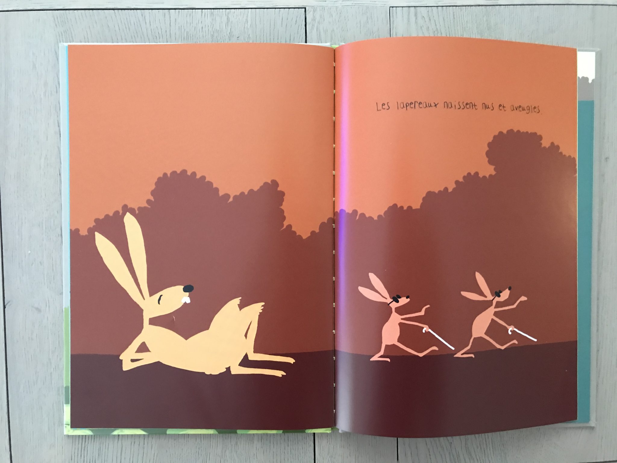 🔎LE LAPIN 🐰 – Cabane de Fleur