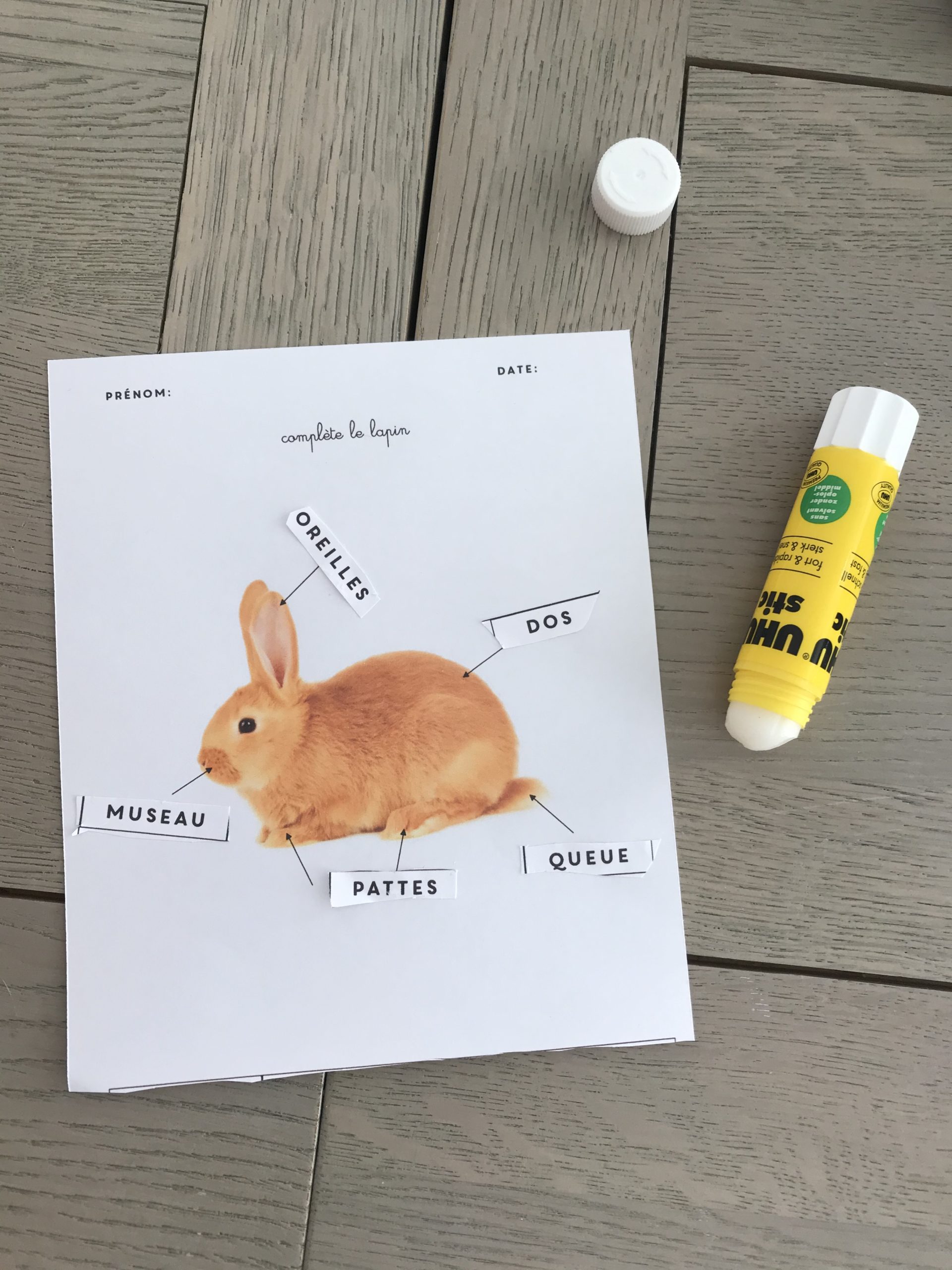 LE LAPIN – Cabane de Fleur