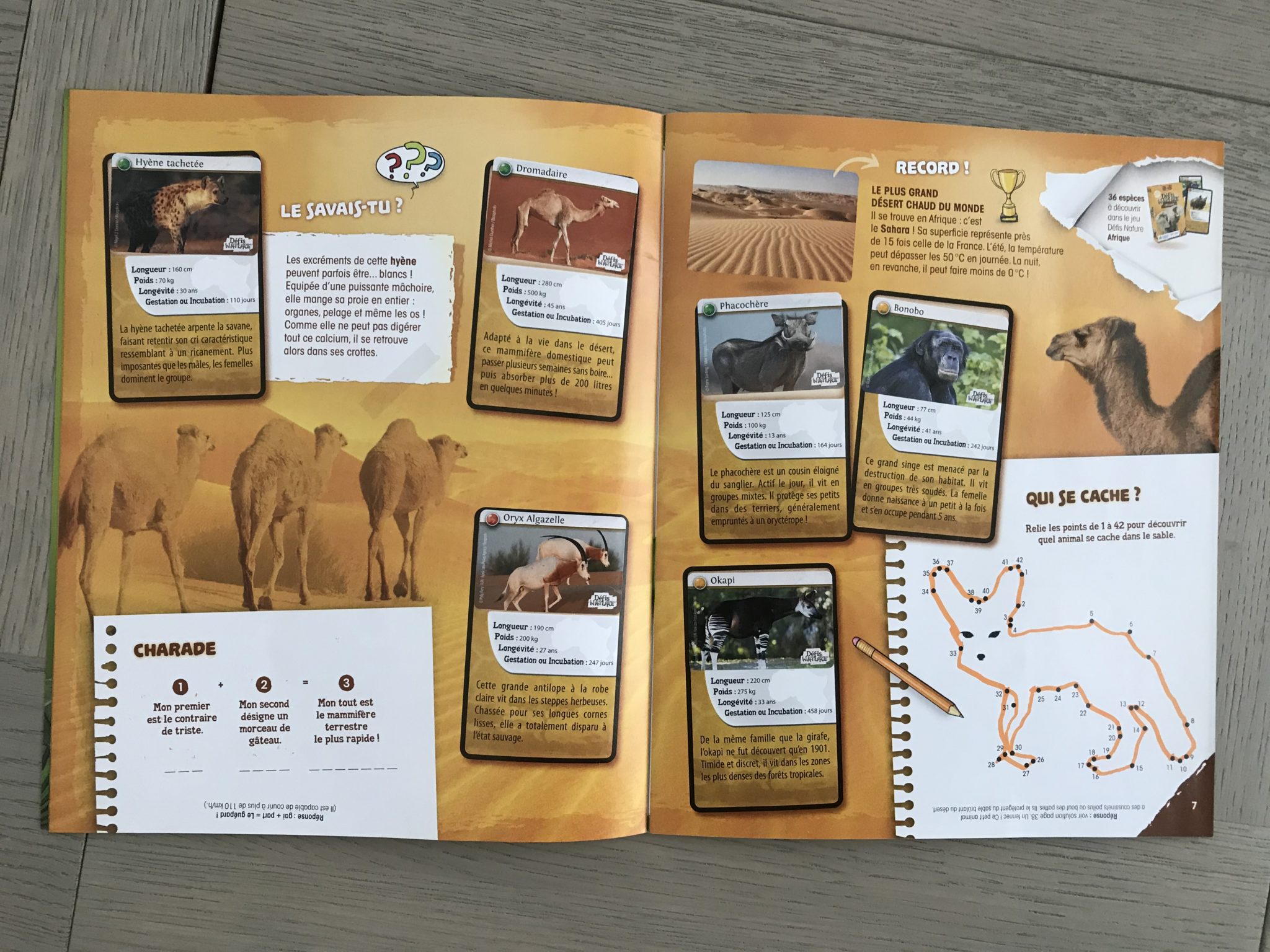 LE DÉSERT – Cabane de Fleur