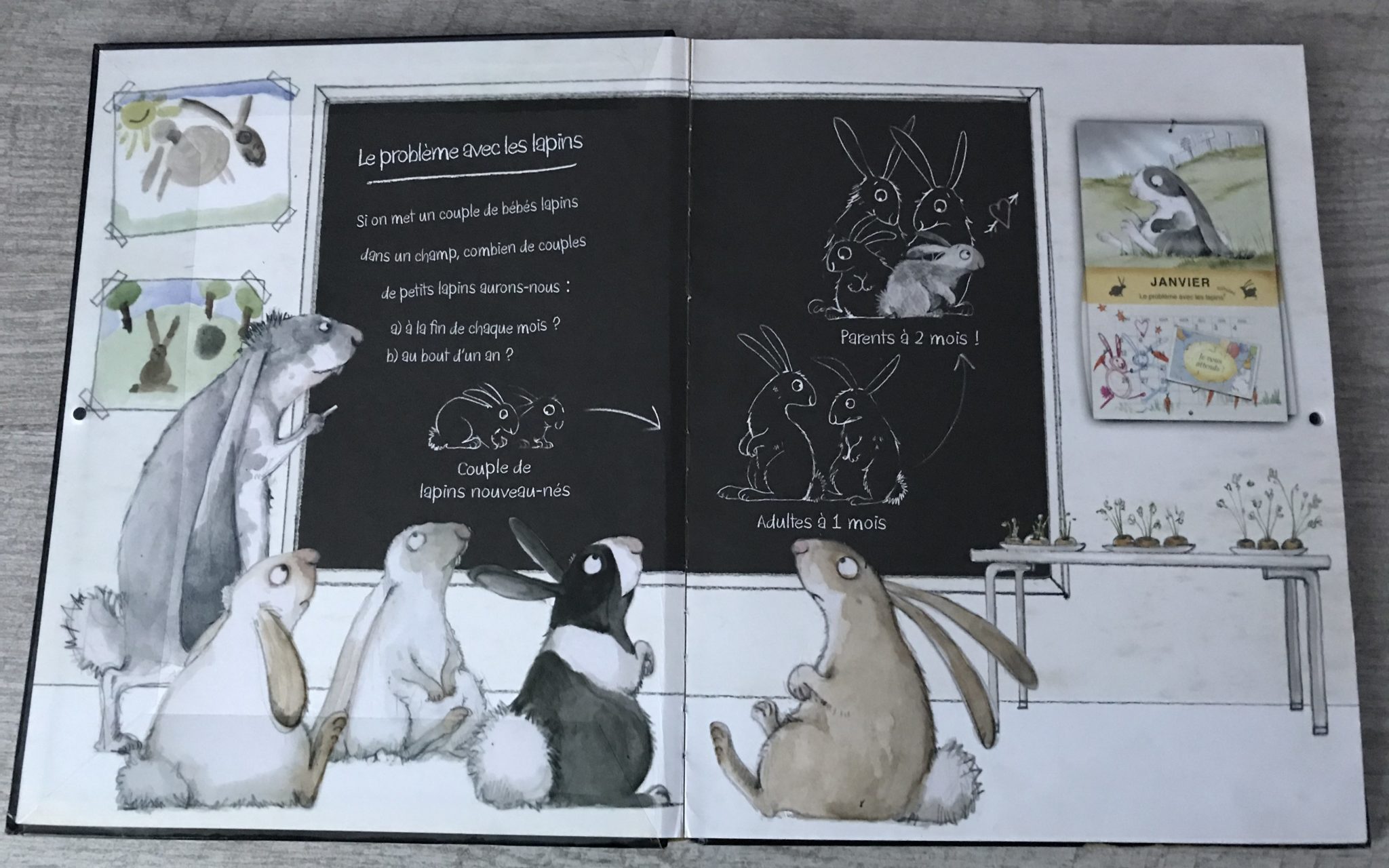 LE LAPIN – Cabane de Fleur