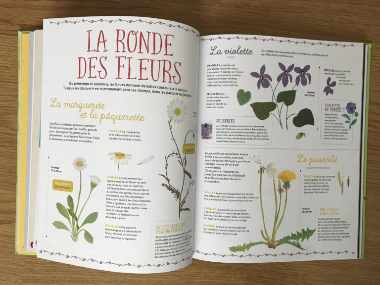 🔎LES FLEURS 🌺 – Cabane de Fleur