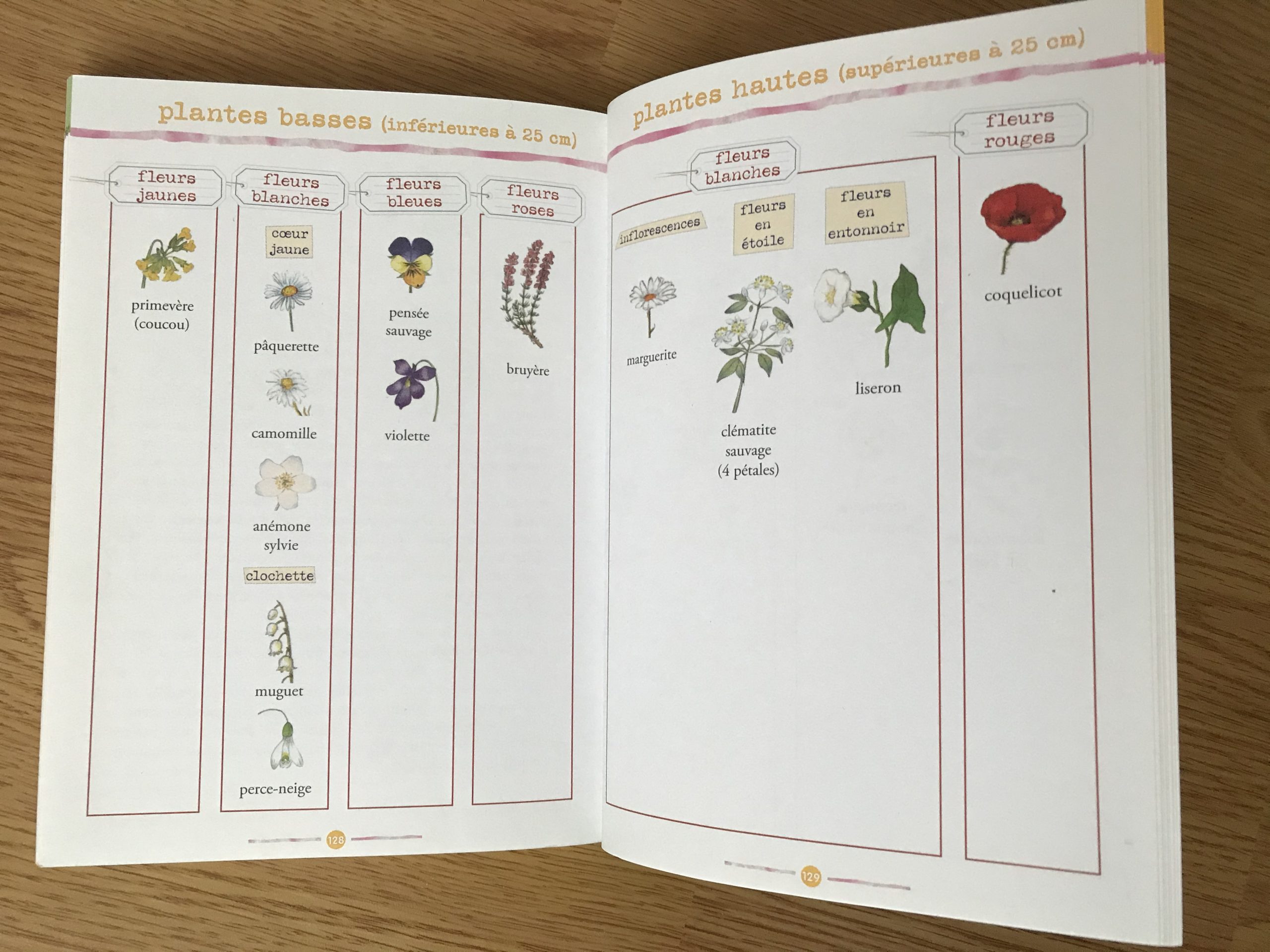 🔎LES FLEURS 🌺 – Cabane de Fleur