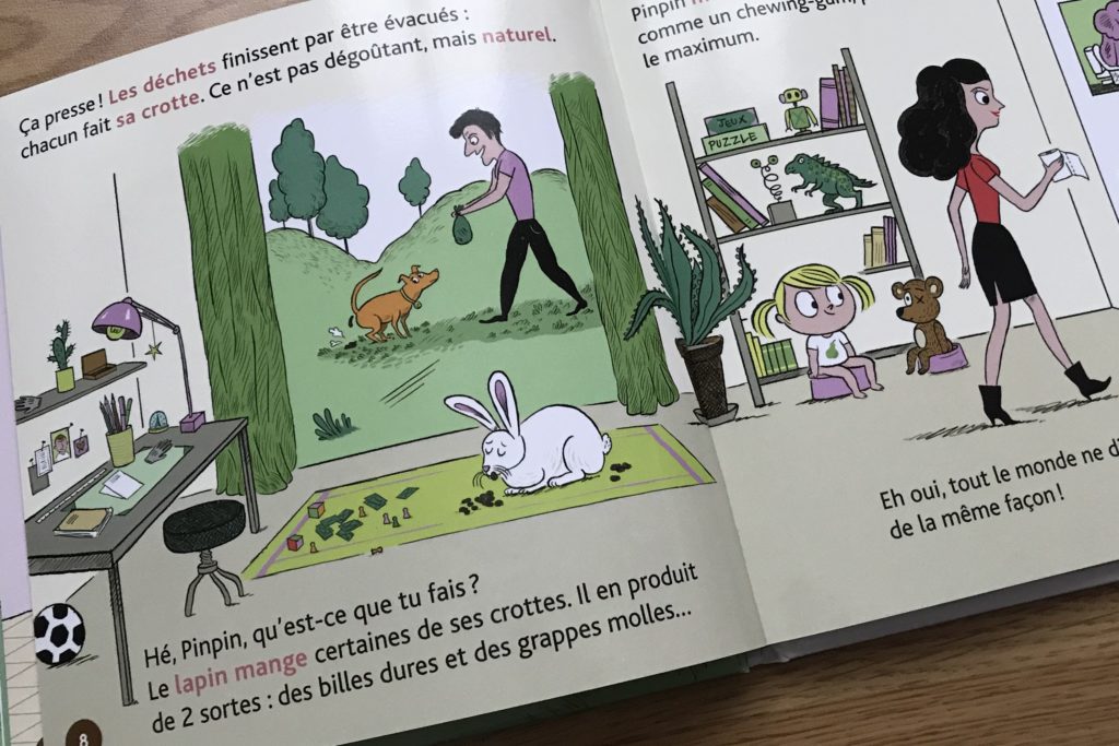 🔎LE LAPIN 🐰 – Cabane de Fleur