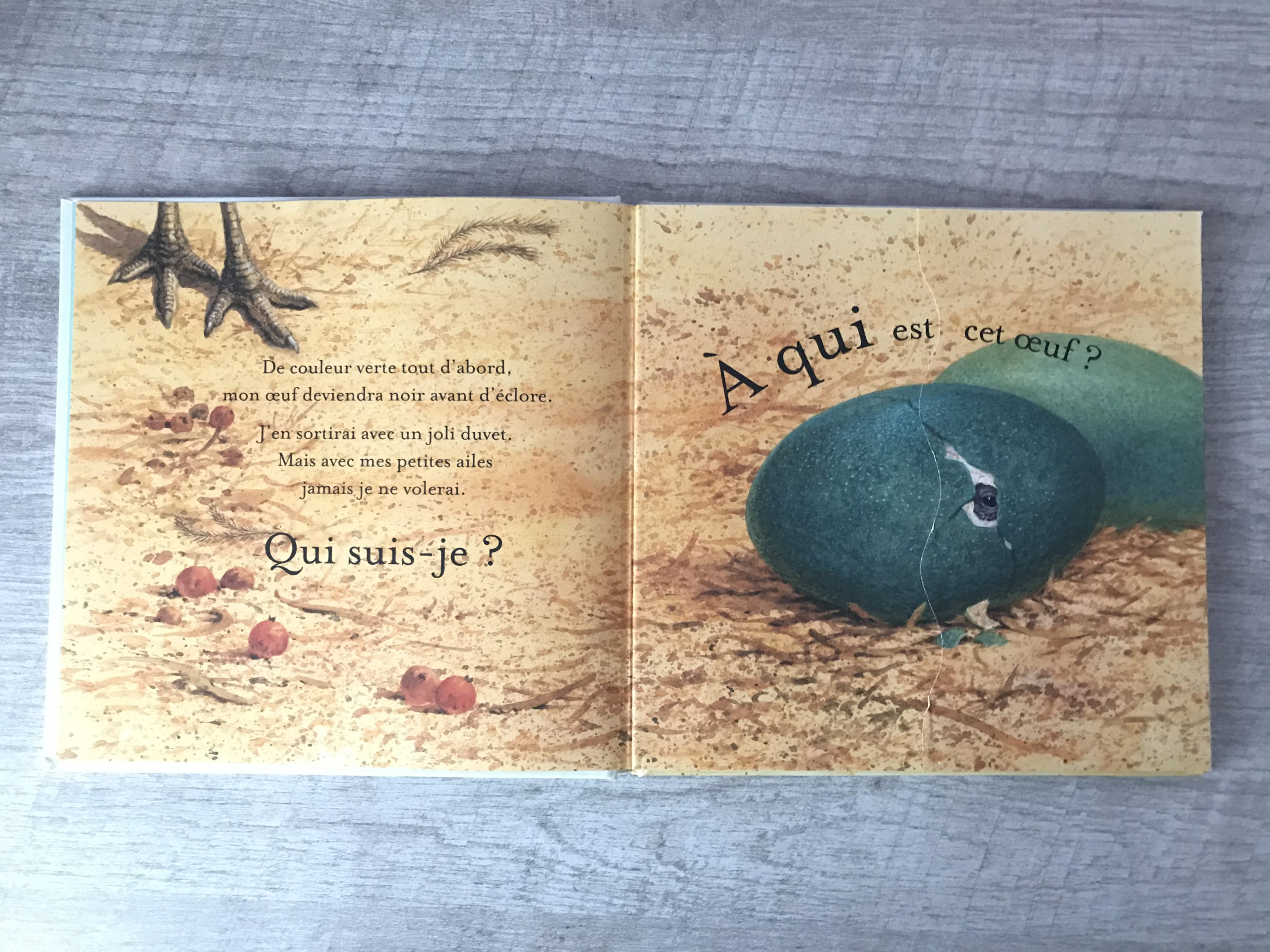 LES ŒUFS – Cabane de Fleur