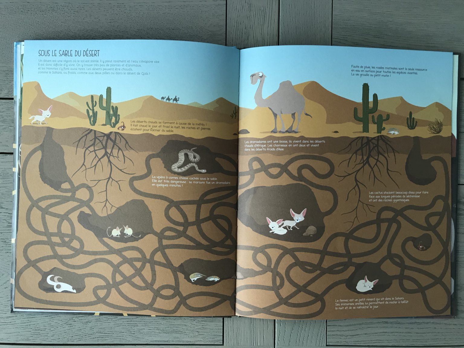 LE DÉSERT – Cabane de Fleur