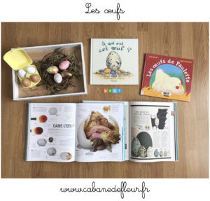 🔎LES ŒUFS 🥚 – Cabane de Fleur