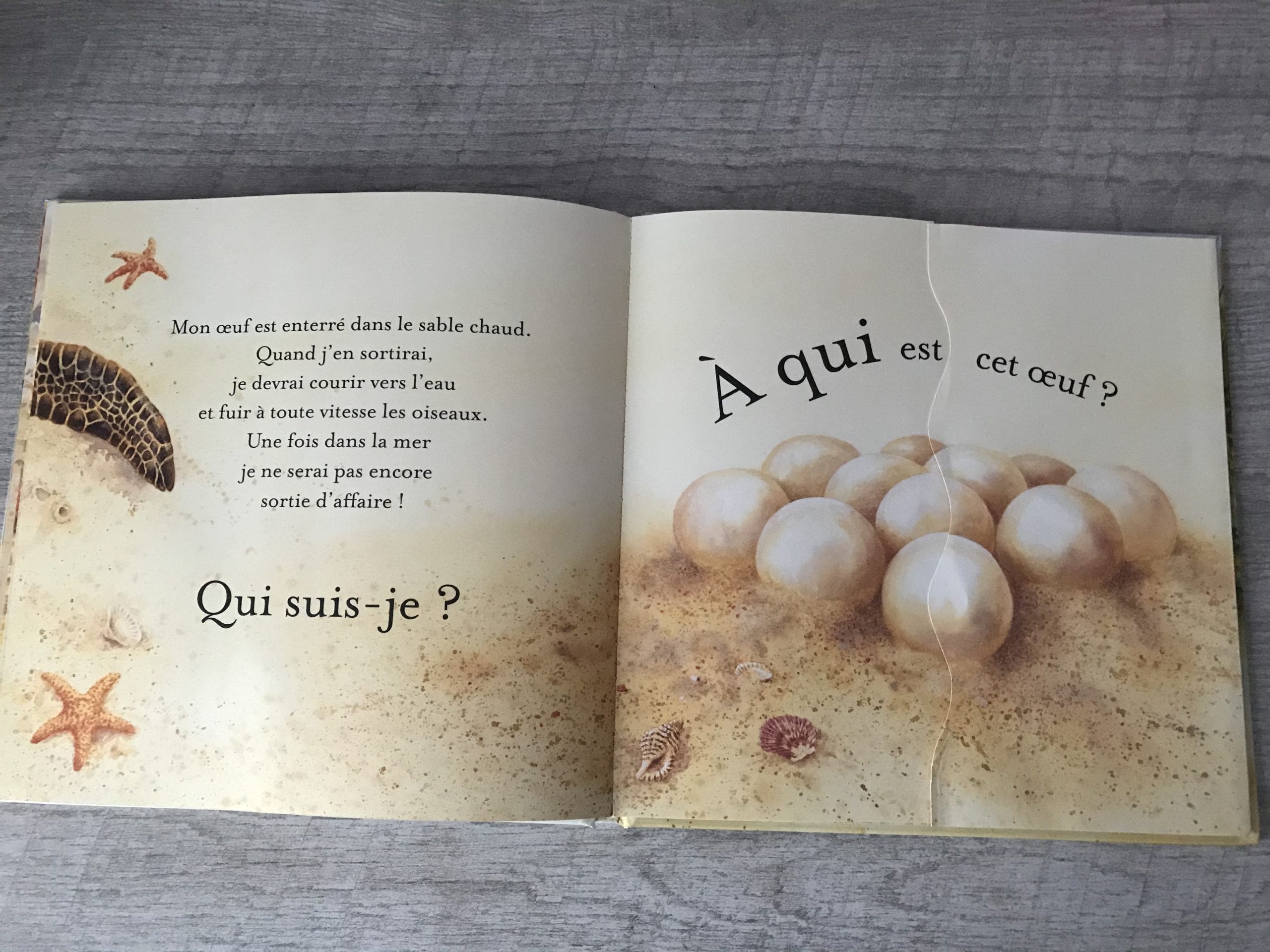 LES ŒUFS – Cabane de Fleur