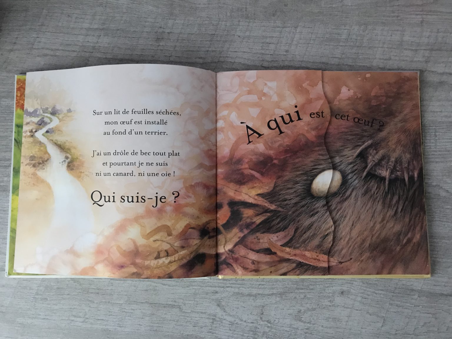 LES ŒUFS – Cabane de Fleur