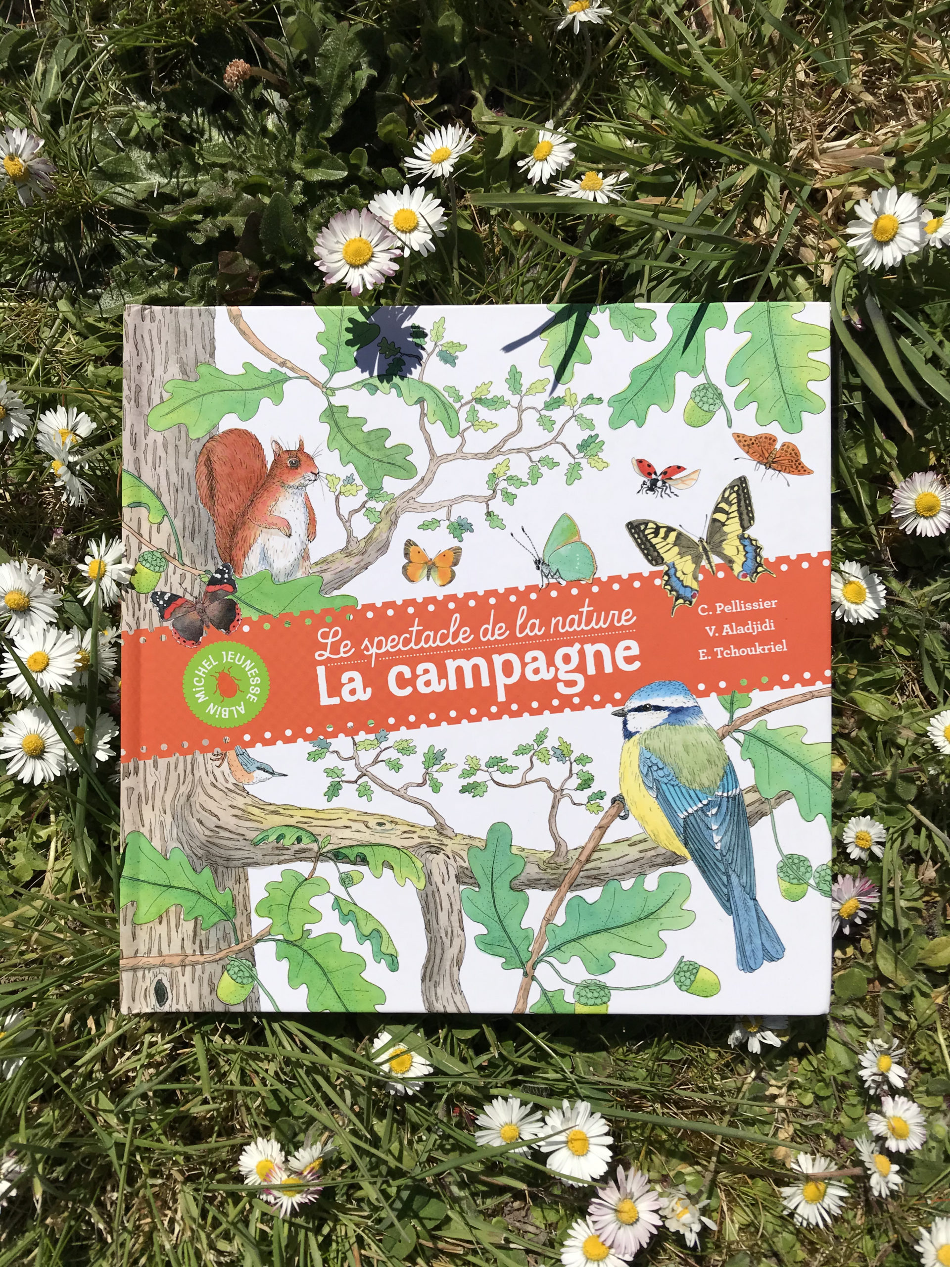 📚Le spectacle de la nature – Cabane de Fleur