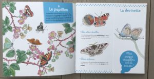 🔎LE PAPILLON 🦋 – Cabane de Fleur