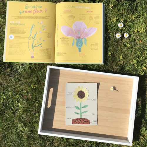 LES FLEURS – Cabane de Fleur