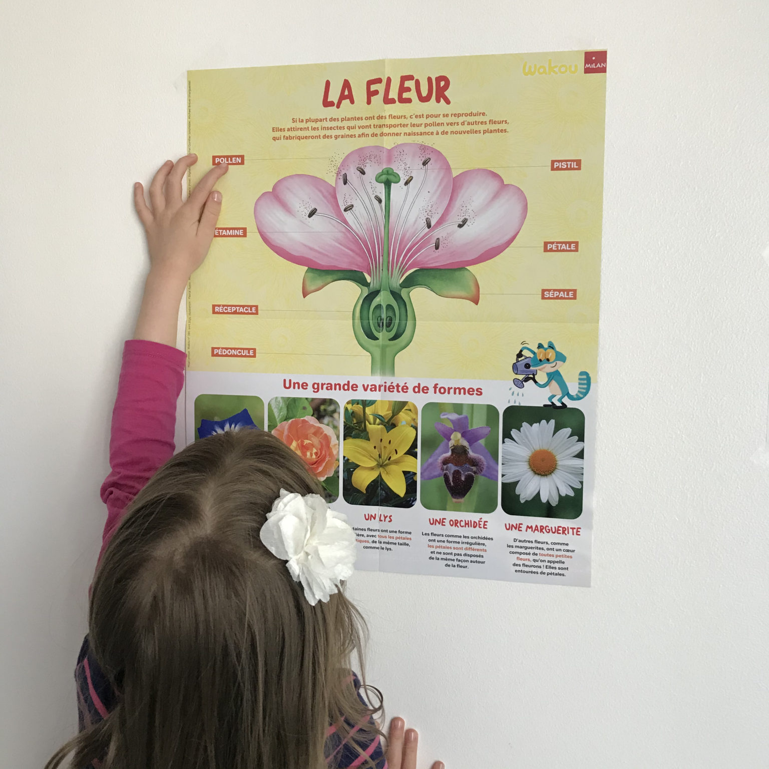 LES FLEURS – Cabane de Fleur