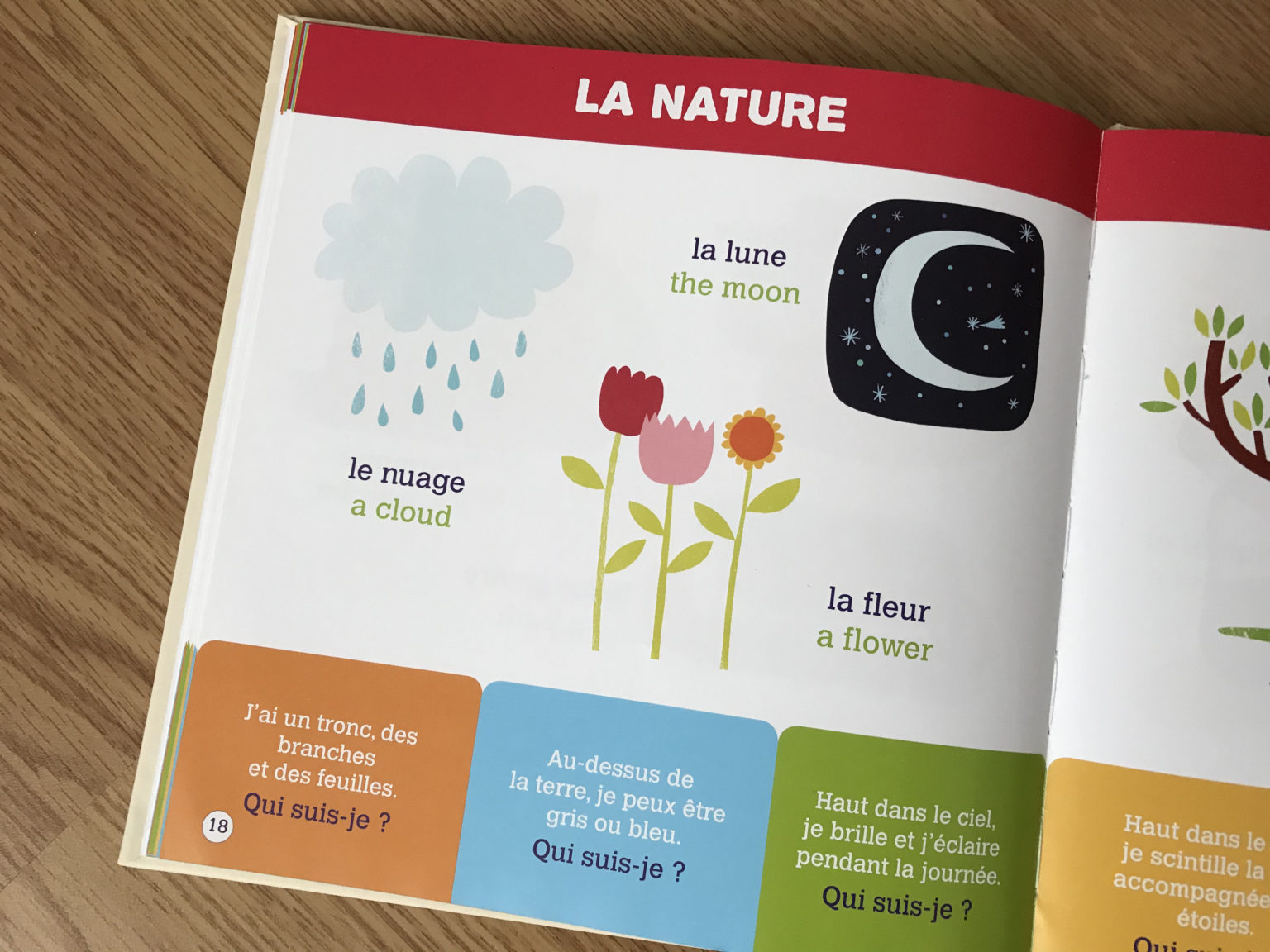 LES FLEURS – Cabane de Fleur