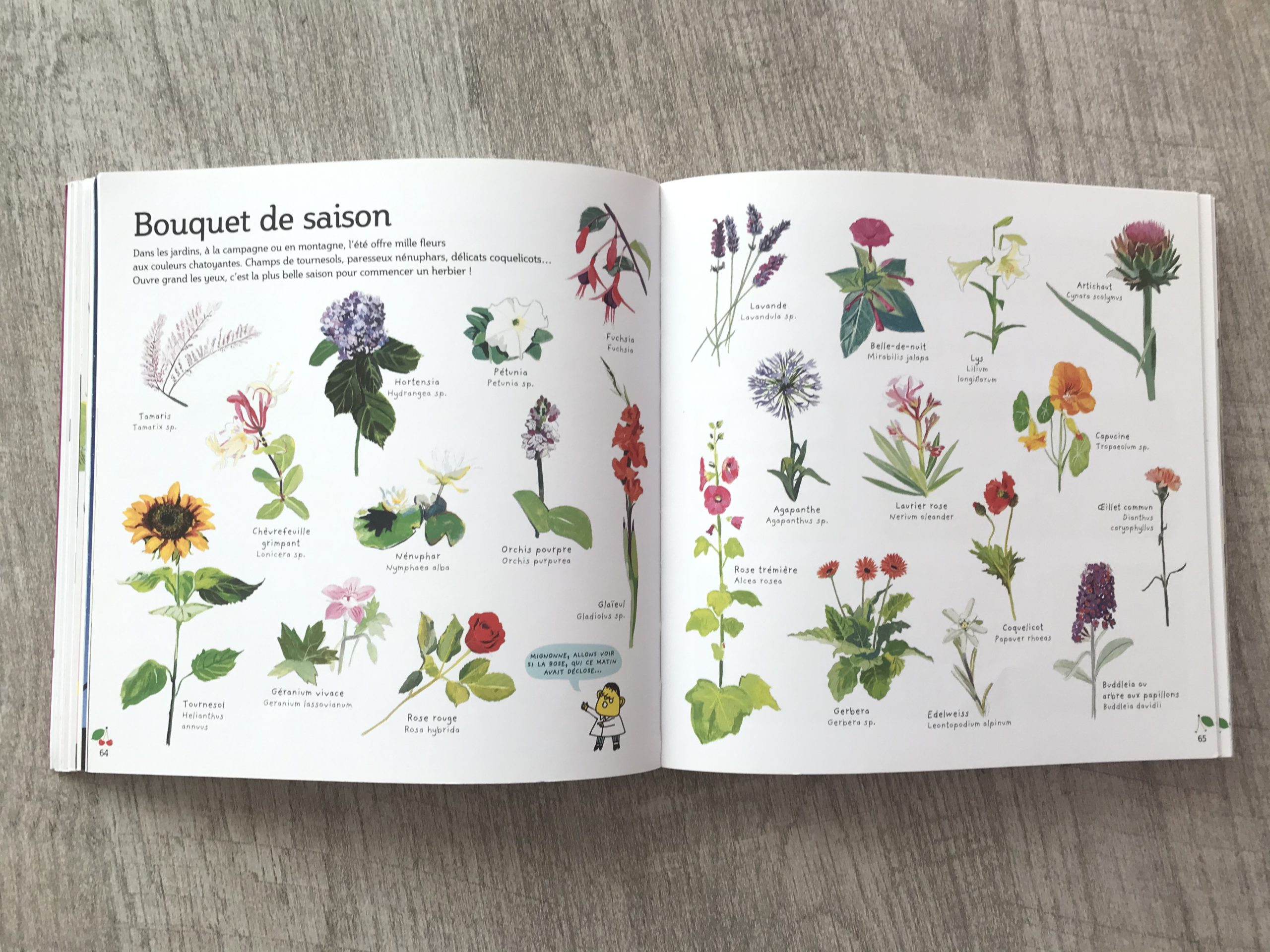 🔎LES FLEURS 🌺 – Cabane de Fleur