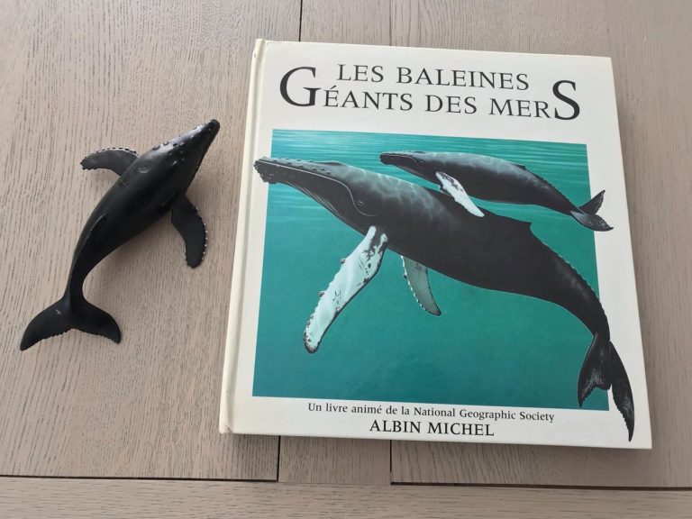 🔎LES BALEINES 🐋 – Cabane de Fleur