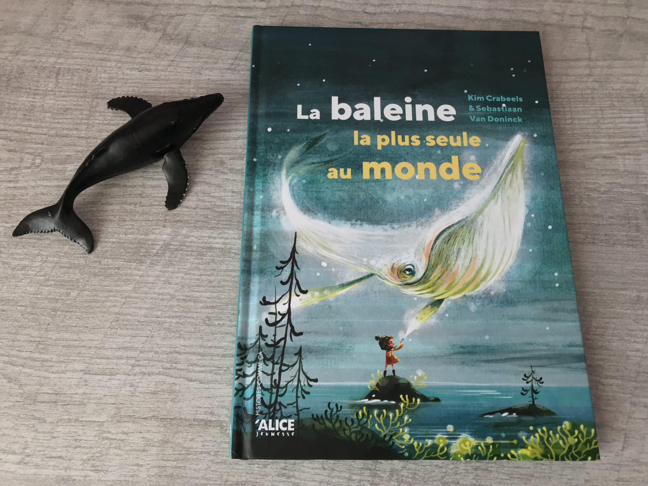 🔎LES BALEINES 🐋 – Cabane de Fleur