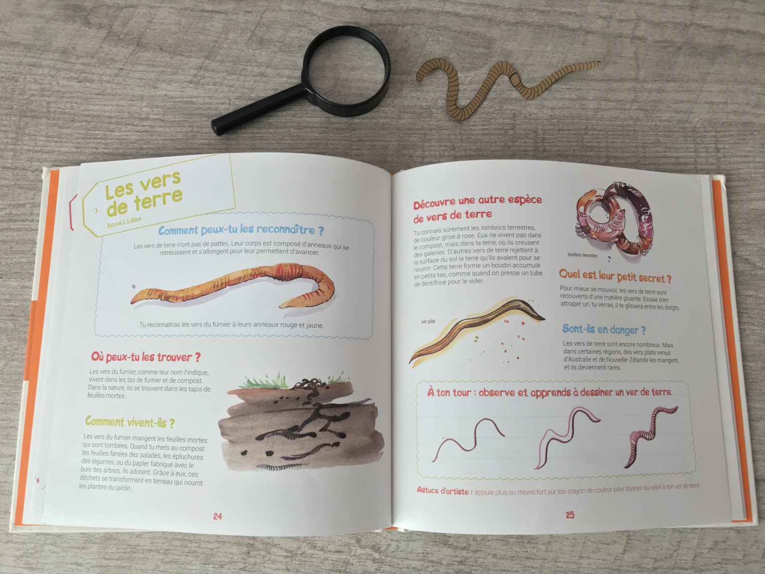 🔎LE VER DE TERRE 🪱 – Cabane de Fleur