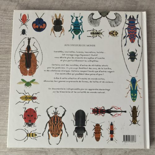 🔎LES COLÉOPTÈRES 🪲🐞 – Cabane de Fleur