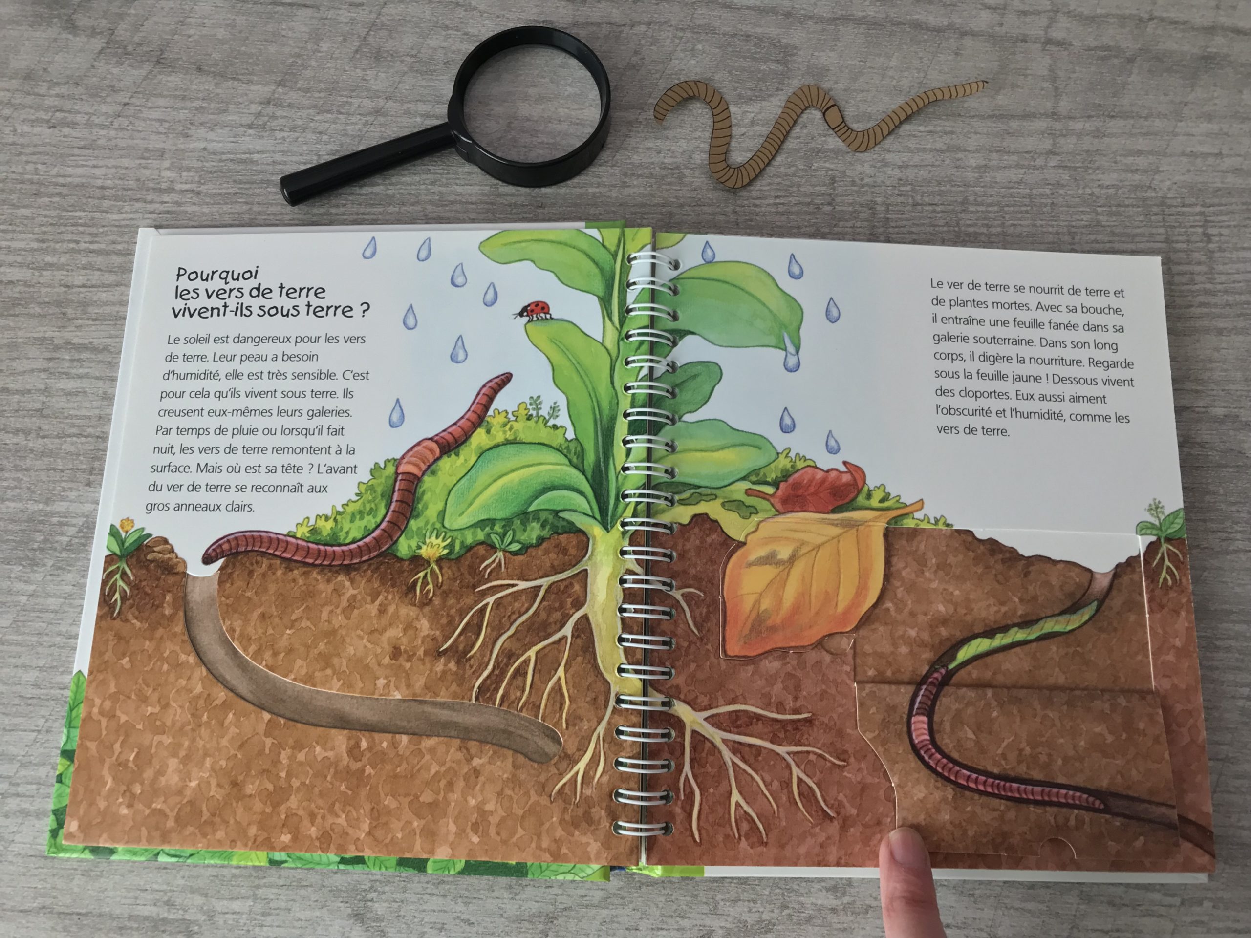 🔎LE VER DE TERRE 🪱 – Cabane de Fleur