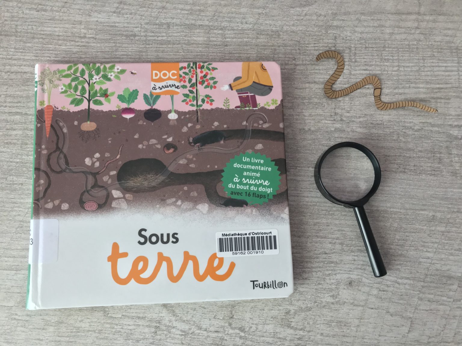 🔎LE VER DE TERRE 🪱 – Cabane de Fleur