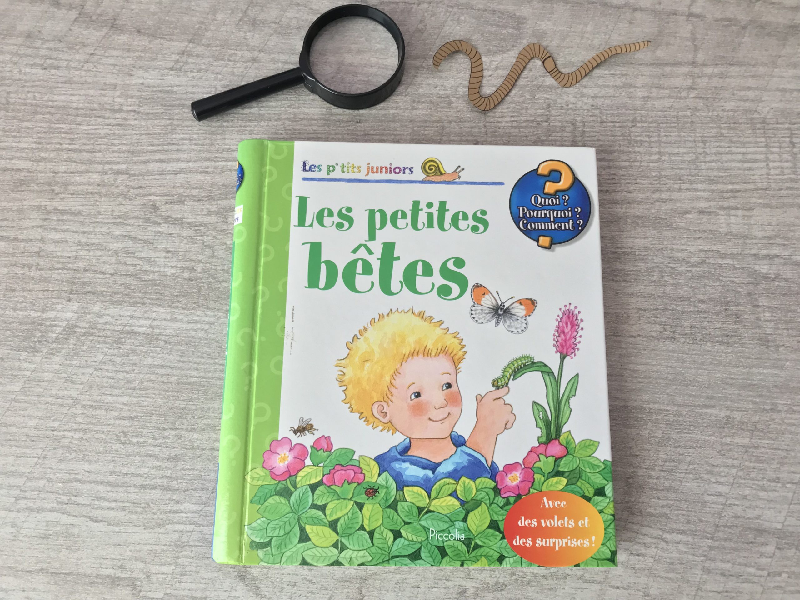 🔎LE VER DE TERRE 🪱 – Cabane de Fleur
