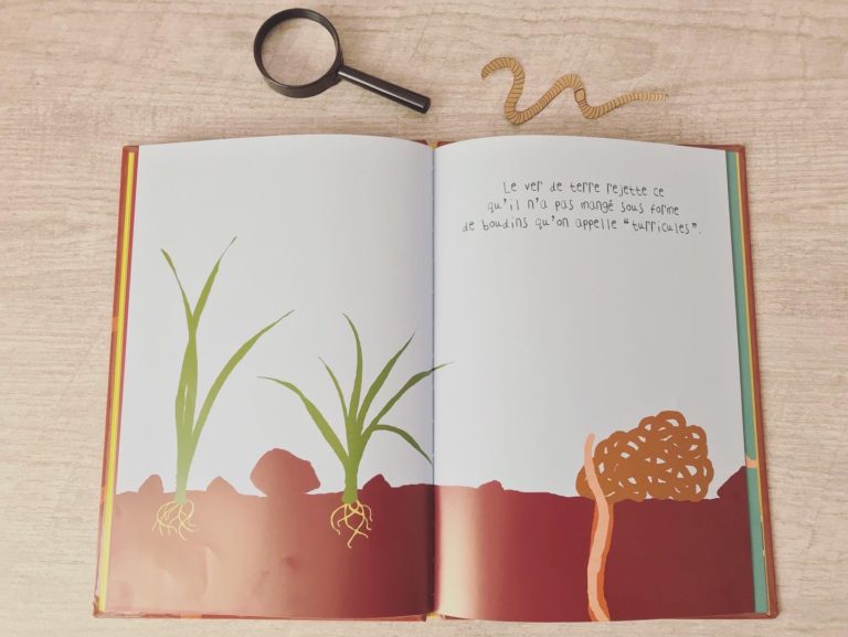 🔎LE VER DE TERRE 🪱 – Cabane de Fleur