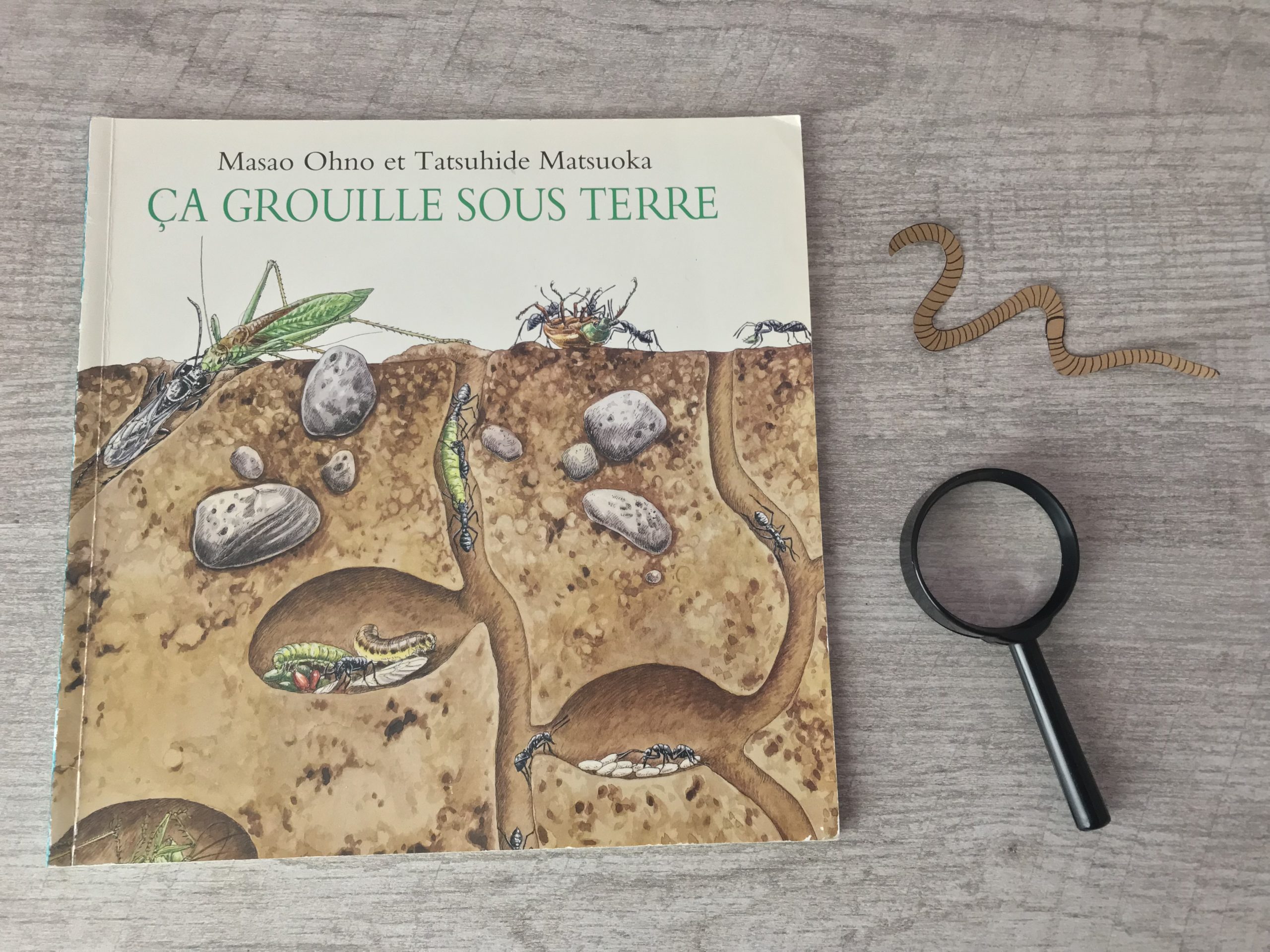 🔎LE VER DE TERRE 🪱 – Cabane de Fleur