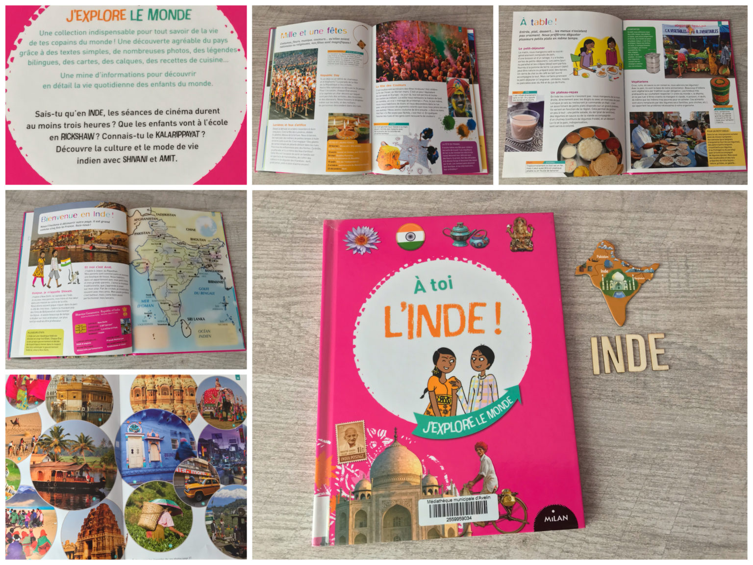 L’INDE 🇮🇳 – Cabane de Fleur